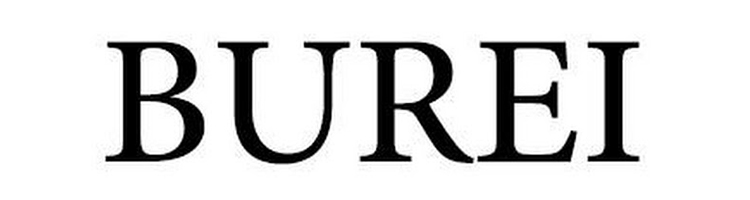 Burei Watches Review - Read This First BEFORE Buying - WatchRanker